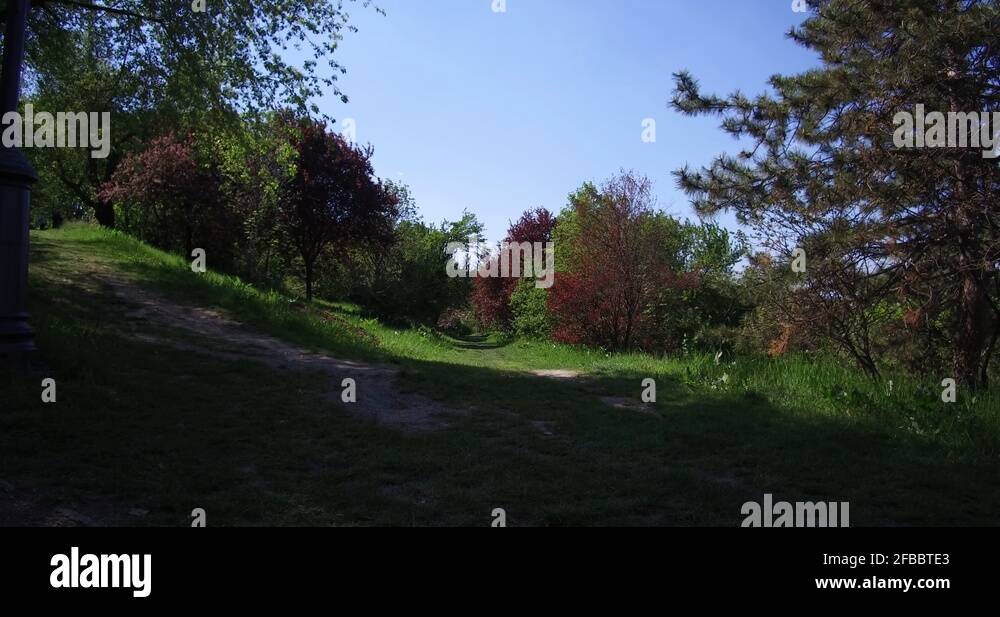 Nature in budapest Stock Videos & Footage - HD and 4K Video Clips - Alamy