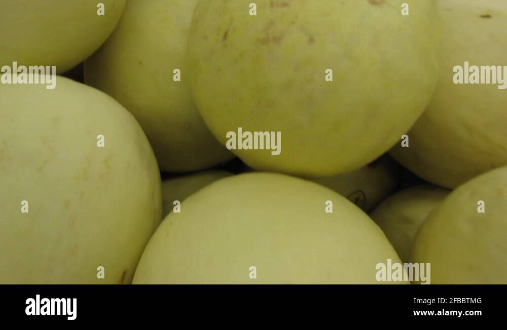 Honey dew Stock Videos & Footage - HD and 4K Video Clips - Alamy