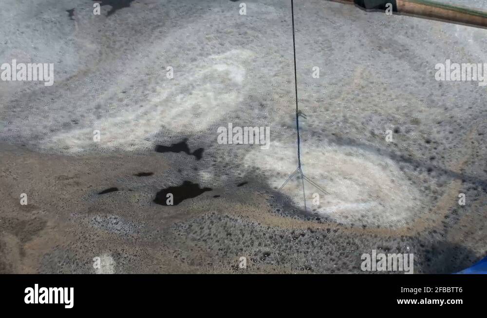 Shellfish harvesting Stock Videos & Footage - HD and 4K Video Clips - Alamy