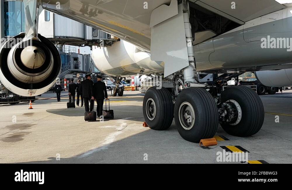 A Cabin crew with uniform of Jet airplane Airbus A330 walks to work ...
