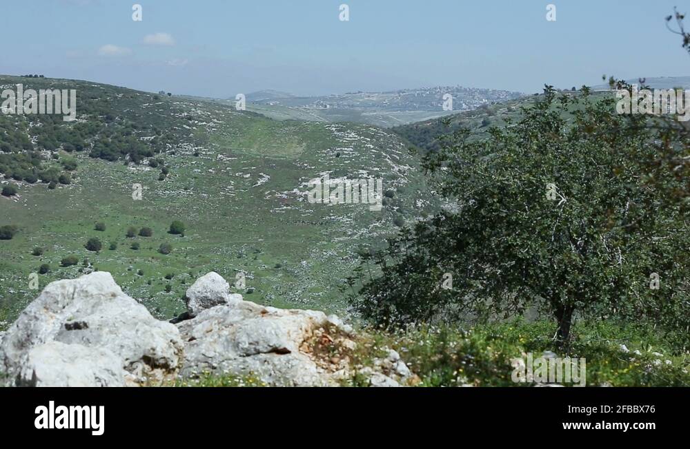 Battle of lebanon Stock Videos & Footage - HD and 4K Video Clips - Alamy