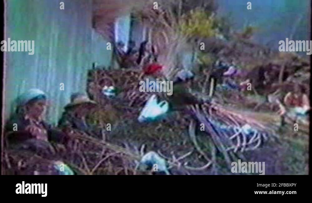 Extinct craft Stock Videos & Footage - HD and 4K Video Clips - Alamy