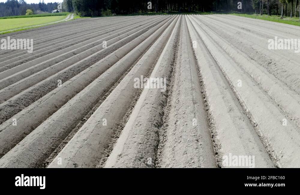 Furrow slice Stock Videos & Footage - HD and 4K Video Clips - Alamy