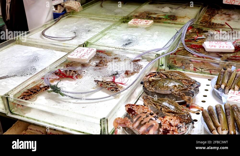 Seafood shellfish shell fish crab Stock Videos & Footage - HD and 4K ...