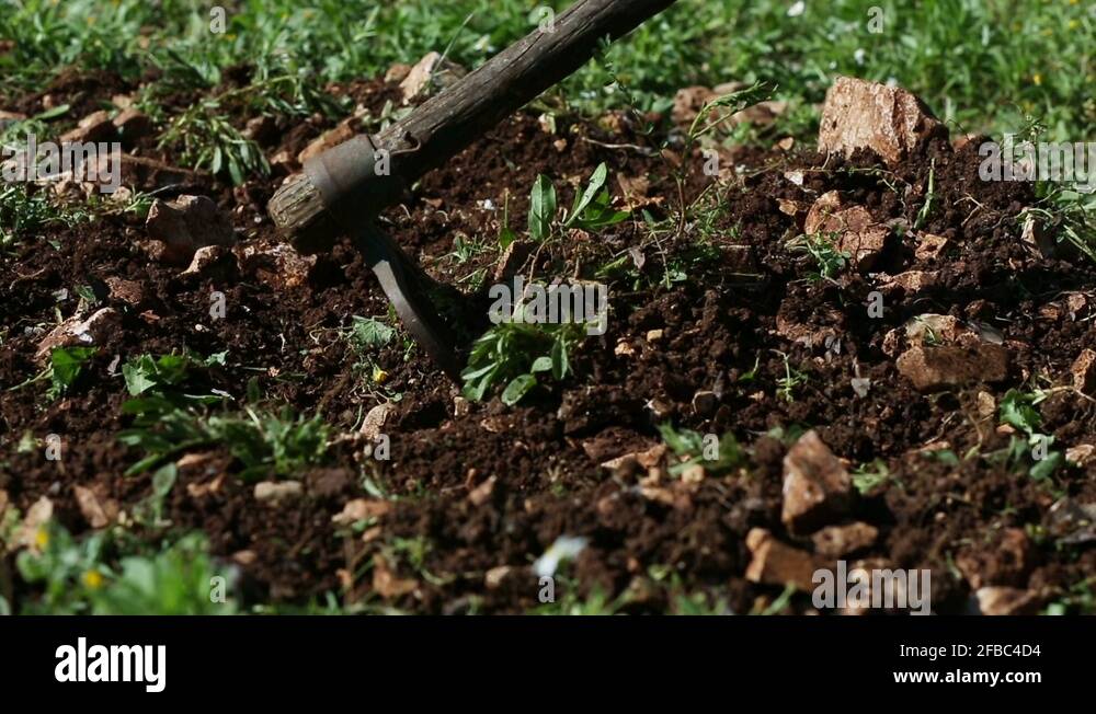 Turning over garden soil Stock Videos & Footage - HD and 4K Video Clips ...