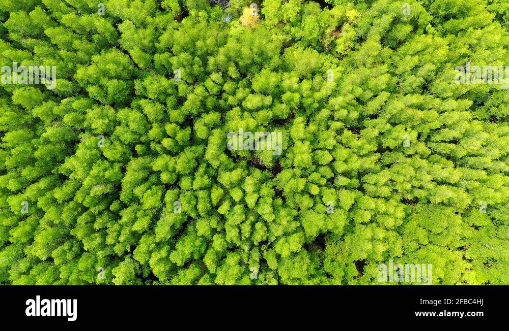 Fore top Stock Videos & Footage - HD and 4K Video Clips - Alamy