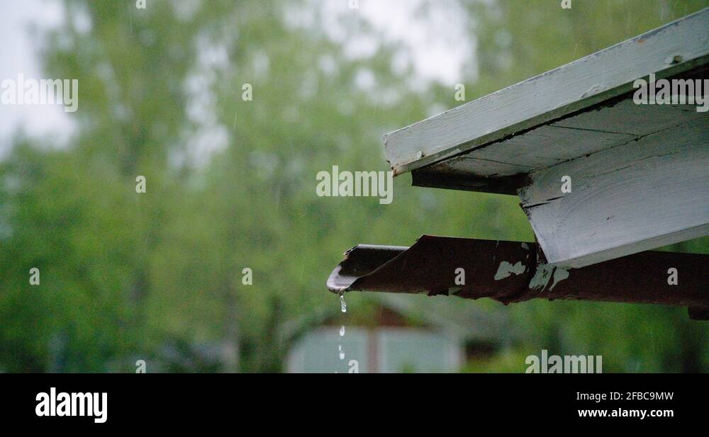 Day out in the rain Stock Videos & Footage - HD and 4K Video Clips - Alamy