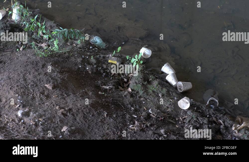Polystyrene litter Stock Videos & Footage - HD and 4K Video Clips - Alamy