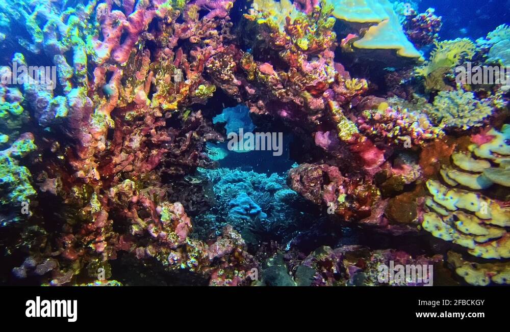 Amazing structures Stock Videos & Footage - HD and 4K Video Clips - Alamy