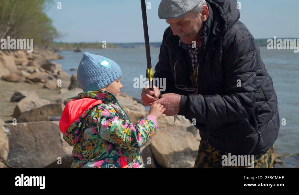 Fish giving Stock Videos & Footage - HD and 4K Video Clips - Alamy