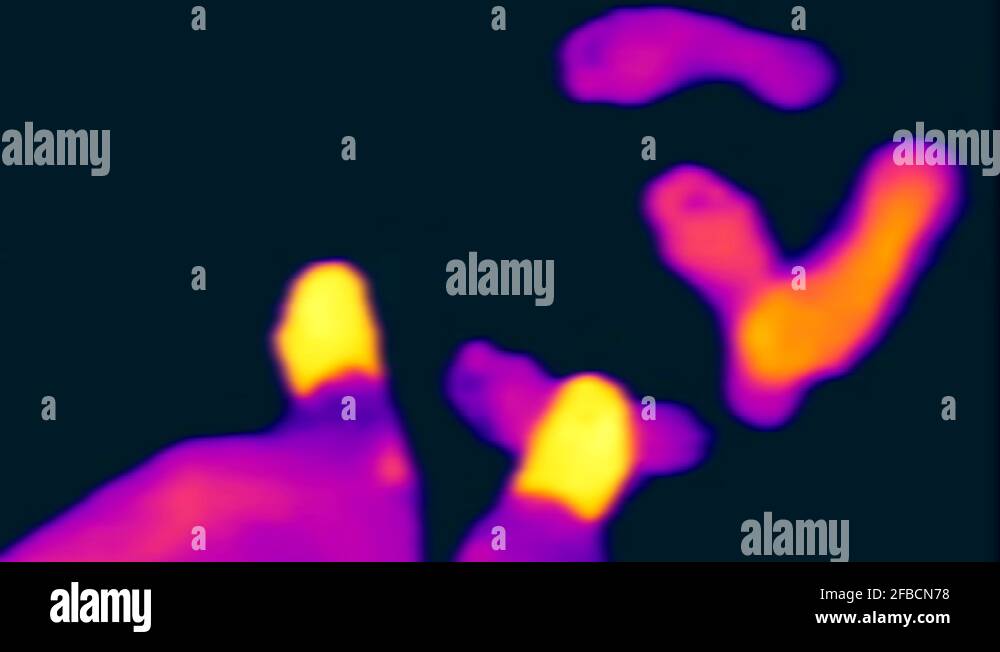 Top Down View Heat Signature Walking Around Leaving Thermal Imaging ...