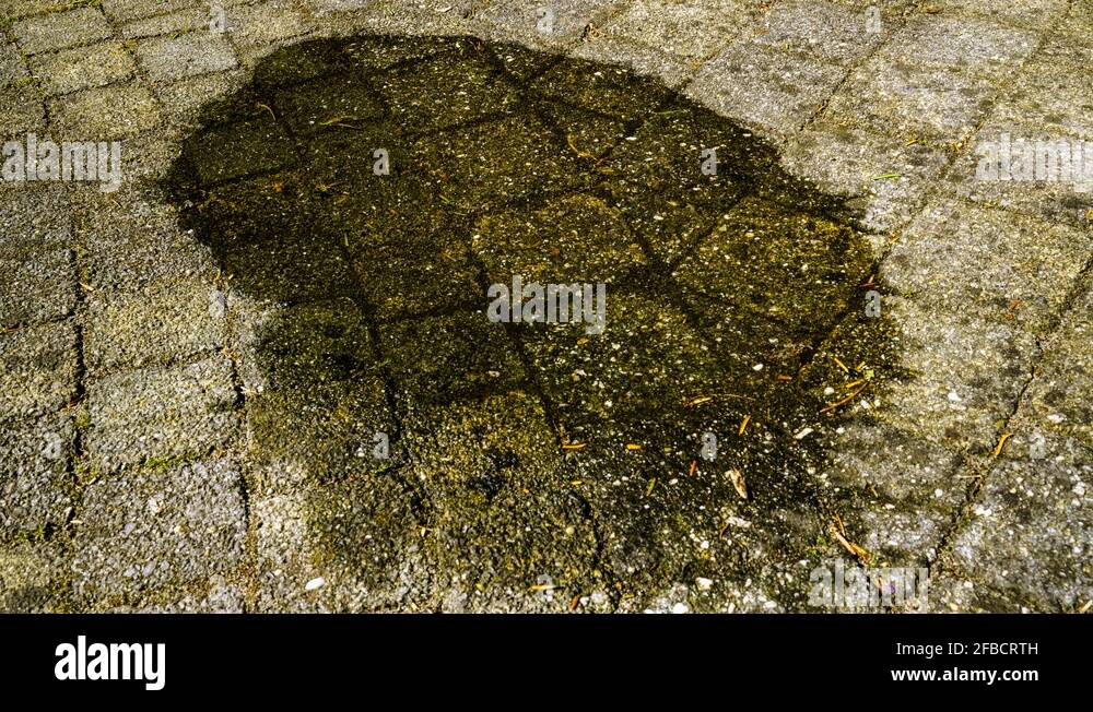 Drying puddle Stock Videos & Footage - HD and 4K Video Clips - Alamy