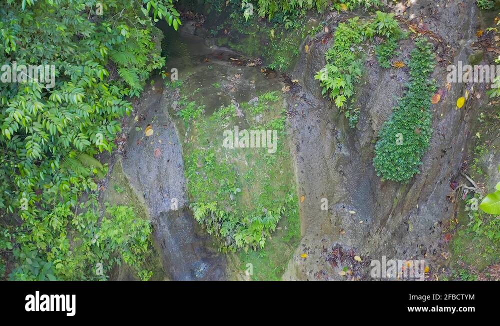 Ascending, tilt down aerial birds eye view through jungle tree canopy ...