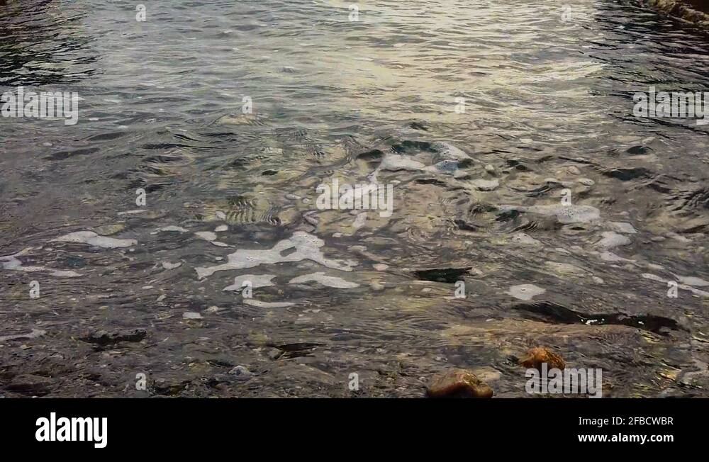Shore stoney Stock Videos & Footage - HD and 4K Video Clips - Alamy