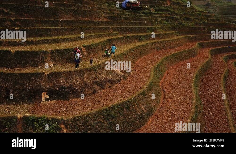 Mountain of step farm Stock Videos & Footage - HD and 4K Video Clips ...