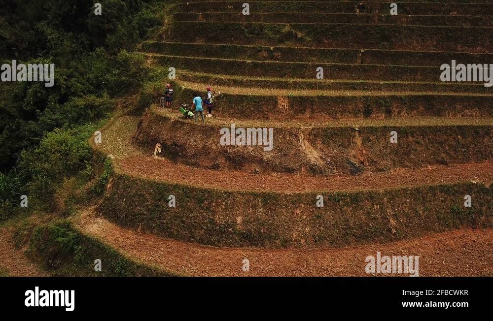 Farming- View of step farming method. Preparing the land for sowing ...