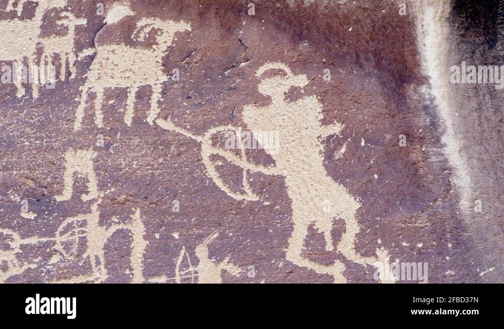 Great panel Stock Videos & Footage - HD and 4K Video Clips - Alamy