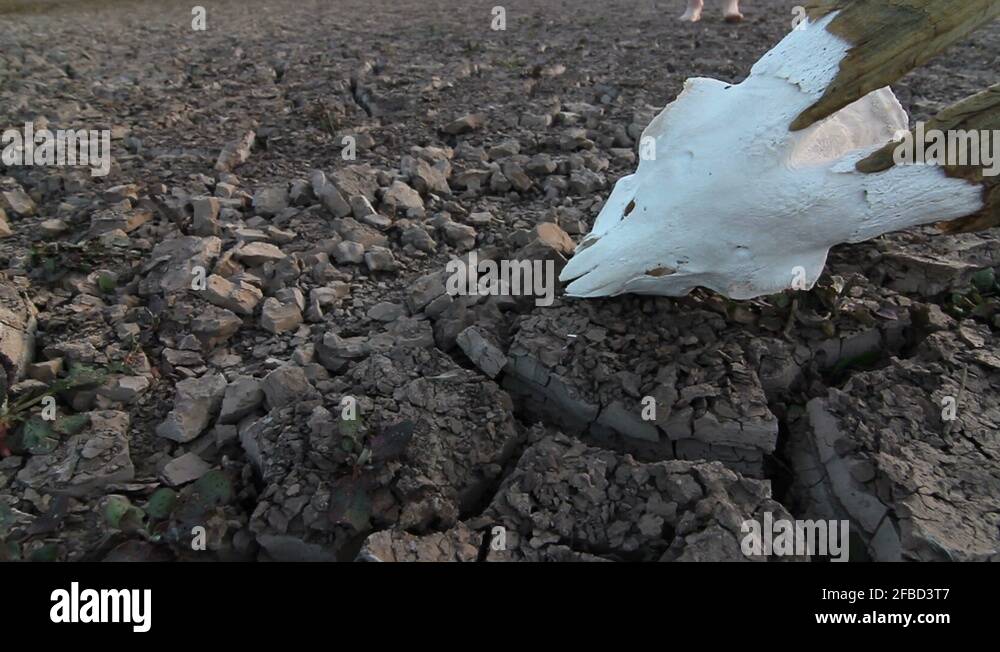 Desolate hopeless Stock Videos & Footage - HD and 4K Video Clips - Alamy