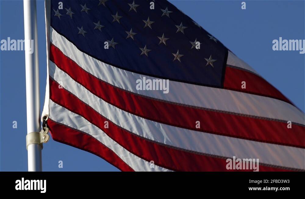 Back pole Stock Videos & Footage - HD and 4K Video Clips - Alamy