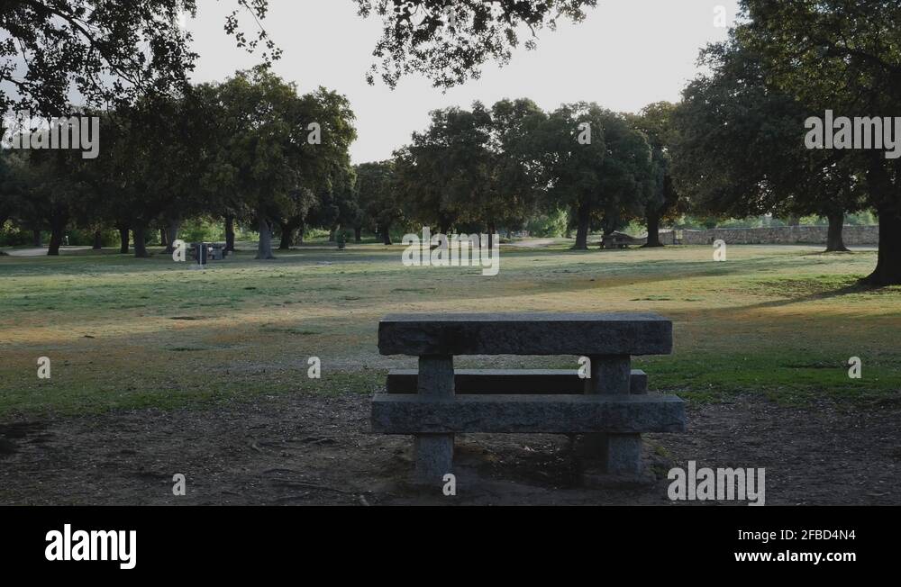 Stone bench benches Stock Videos & Footage - HD and 4K Video Clips - Alamy