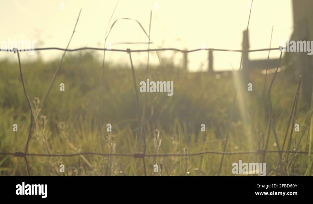 Fence by field Stock Videos & Footage - HD and 4K Video Clips - Alamy