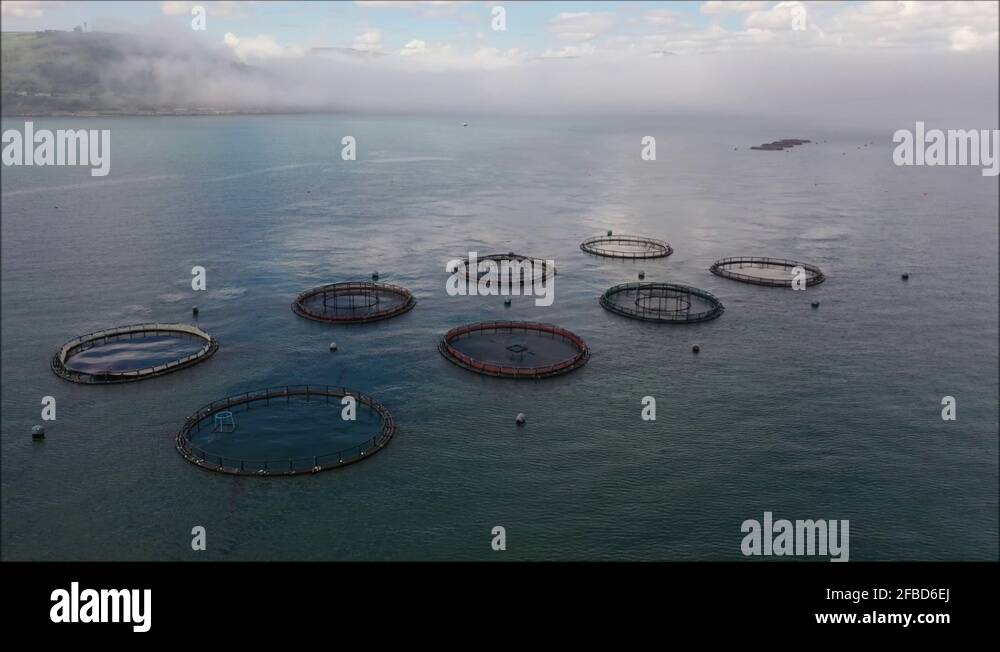 Ocean salmon nets Stock Videos & Footage - HD and 4K Video Clips - Alamy