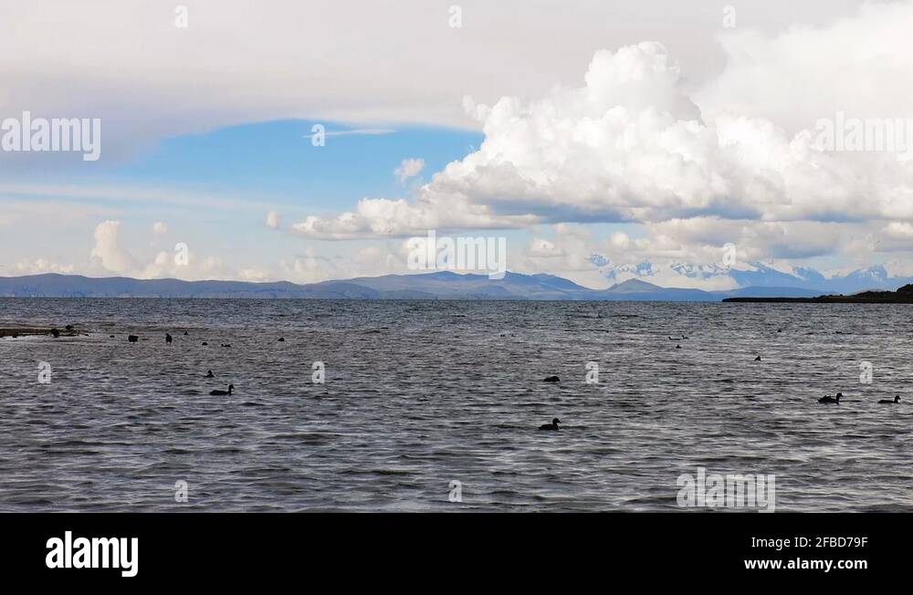 Sea for bolivia Stock Videos & Footage - HD and 4K Video Clips - Alamy