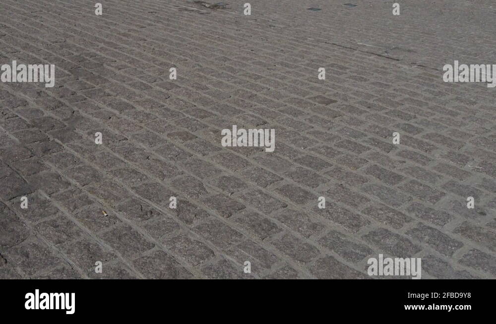 Pavement square texture Stock Videos & Footage - HD and 4K Video Clips ...