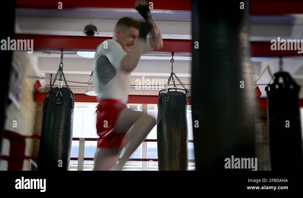 Dynamic kickboxer people Stock Videos & Footage - HD and 4K Video Clips ...