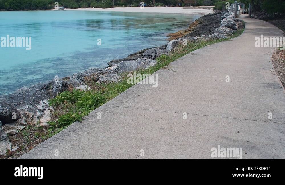 Shelly bay beach Stock Videos & Footage - HD and 4K Video Clips - Alamy