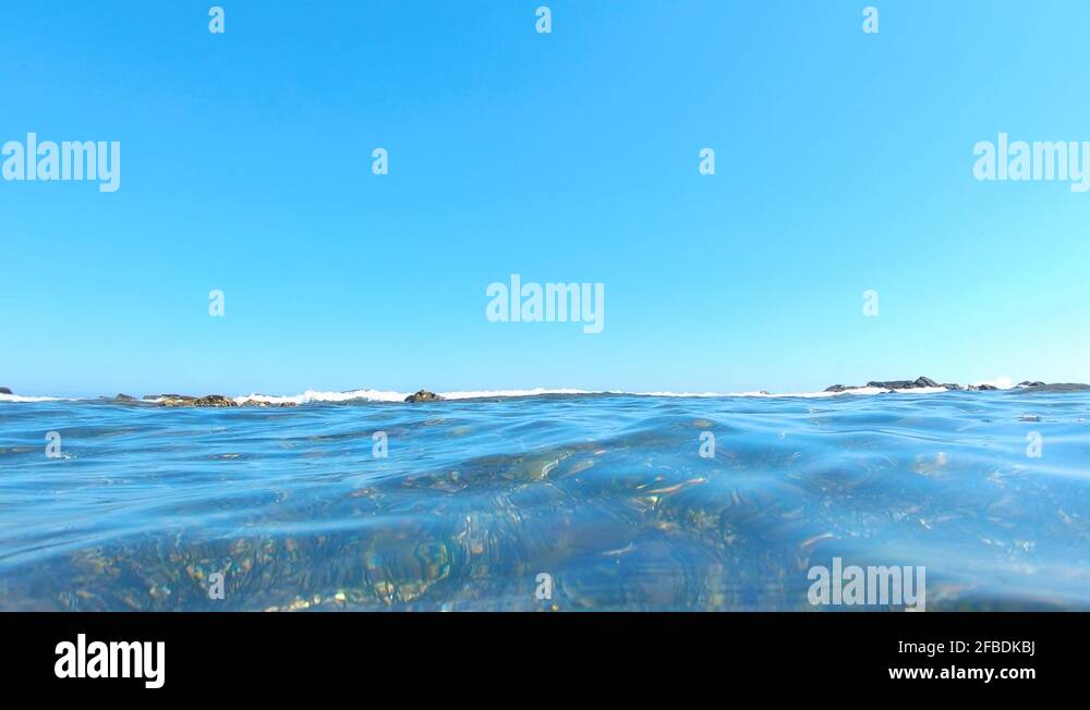 Clear forms Stock Videos & Footage - HD and 4K Video Clips - Alamy