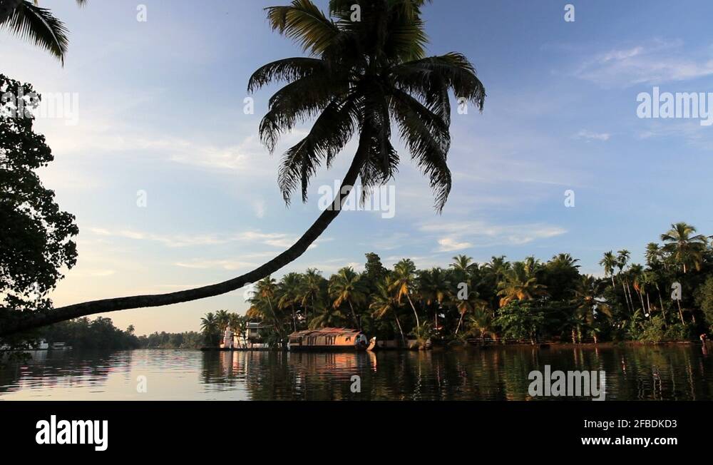 Houseboats on kerala backwaters kerala Stock Videos & Footage - HD and ...