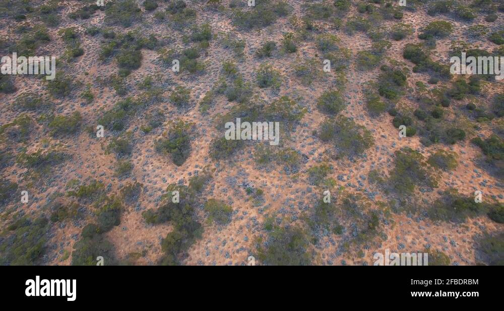 Australian scrub Stock Videos & Footage - HD and 4K Video Clips - Alamy
