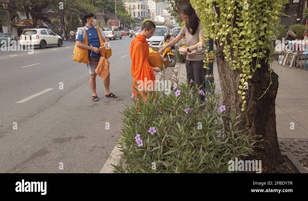 Lady monk Stock Videos & Footage - HD and 4K Video Clips - Alamy
