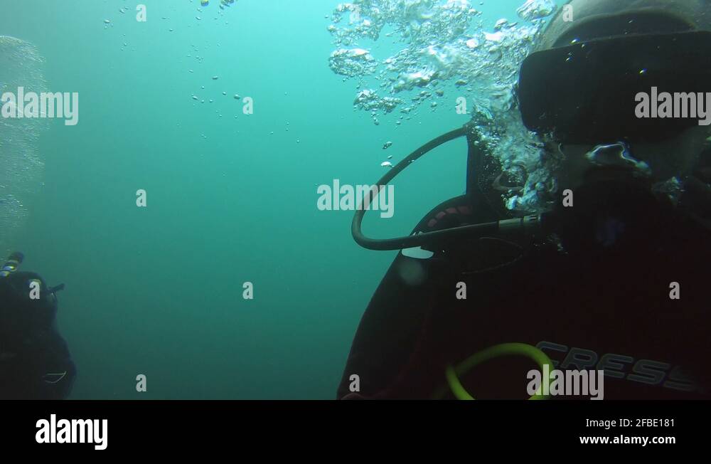 Scuba tourism in the galapagos Stock Videos & Footage - HD and 4K Video ...