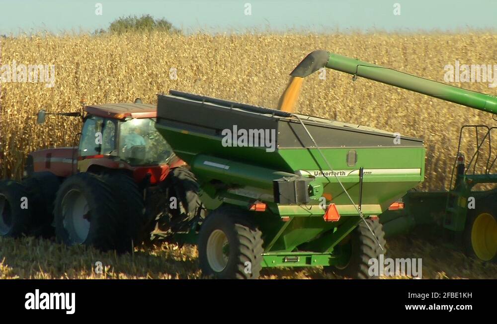 Corn combine Stock Videos & Footage - HD and 4K Video Clips - Alamy