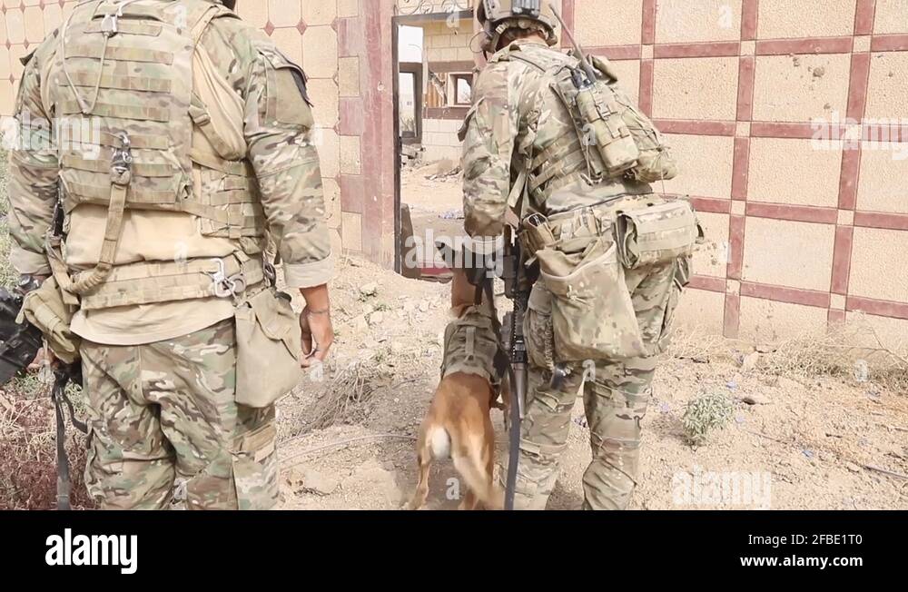 U s army special forces Stock Videos & Footage - HD and 4K Video Clips ...