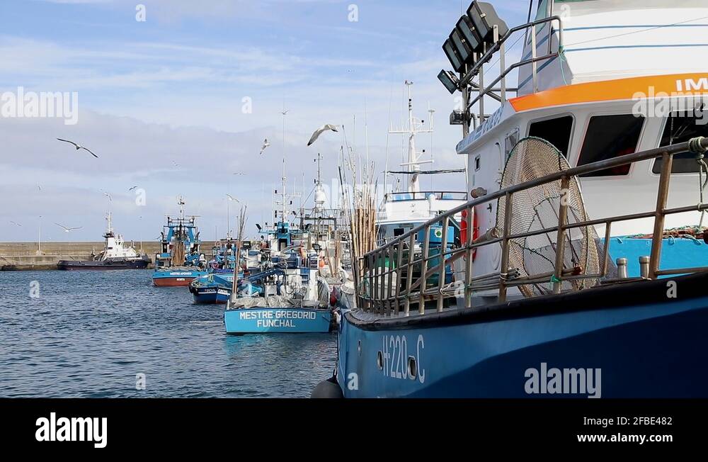 Tuna fleet Stock Videos & Footage - HD and 4K Video Clips - Alamy