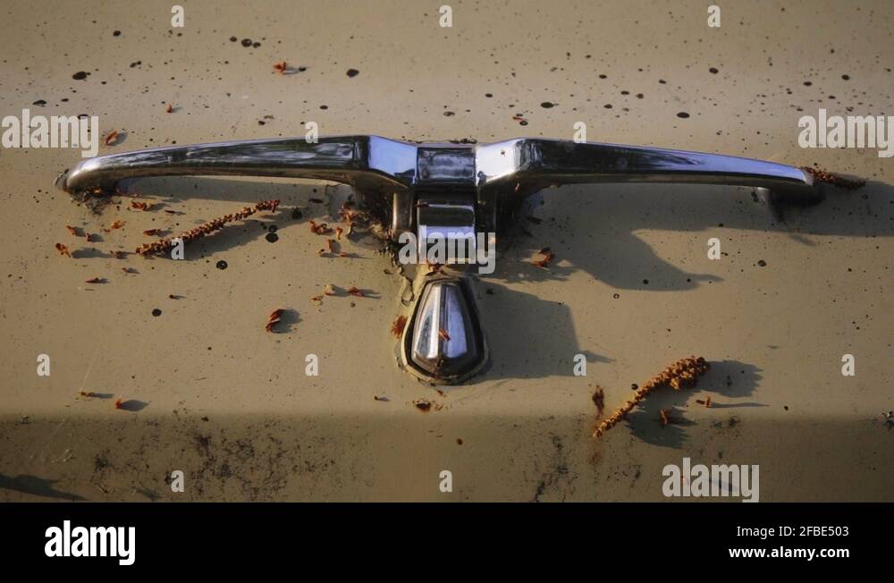 Trunk handle Stock Videos & Footage - HD and 4K Video Clips - Alamy