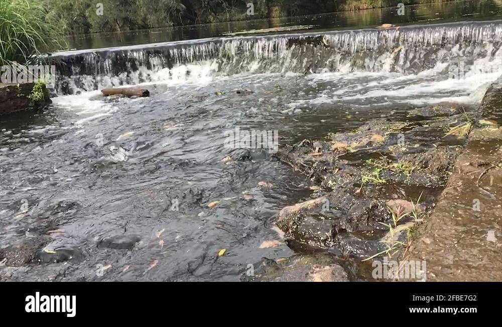 River sprite Stock Videos & Footage - HD and 4K Video Clips - Alamy