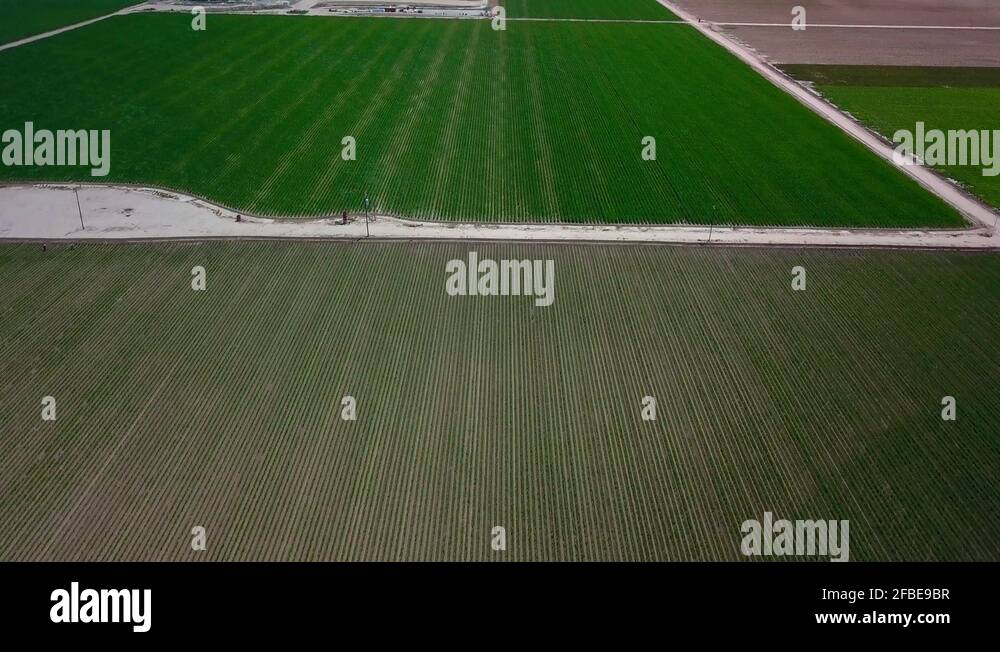 Field upon field Stock Videos & Footage - HD and 4K Video Clips - Alamy