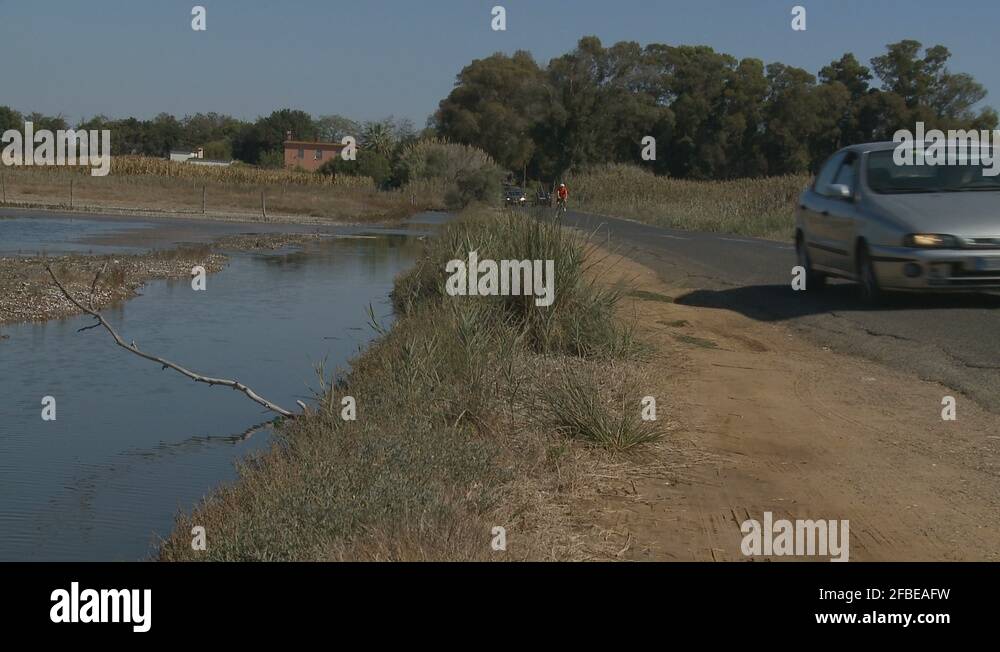 The pontine marshes Stock Videos & Footage - HD and 4K Video Clips - Alamy