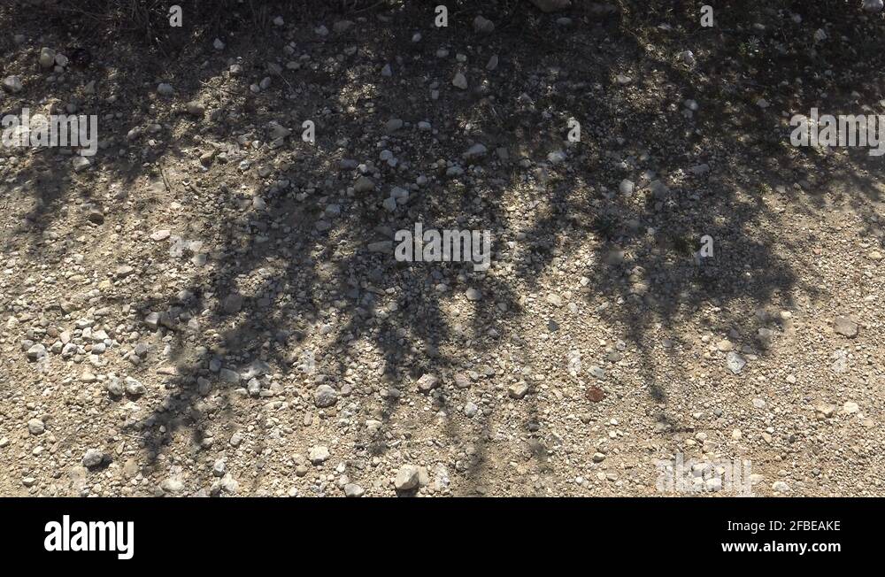 Big chunks of soil Stock Videos & Footage - HD and 4K Video Clips - Alamy