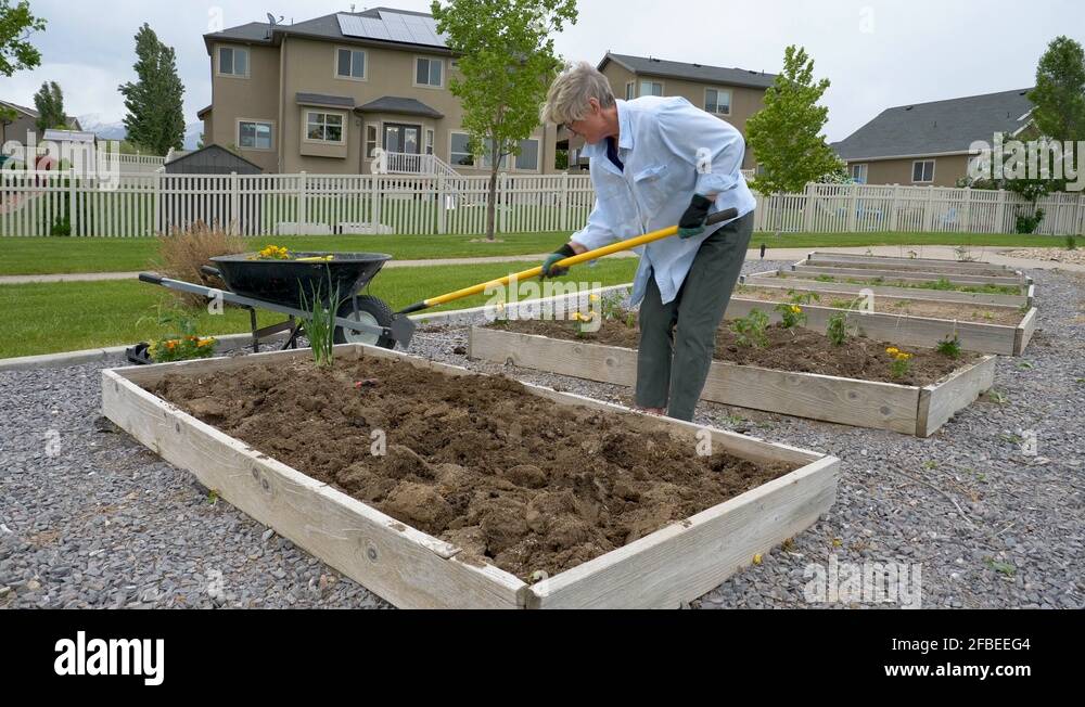 Spring in a box Stock Videos & Footage - HD and 4K Video Clips - Alamy