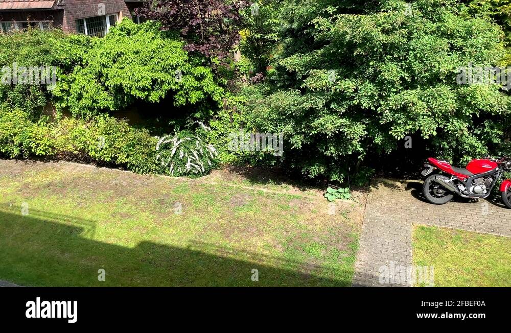 Relaxed garden Stock Videos & Footage - HD and 4K Video Clips - Alamy