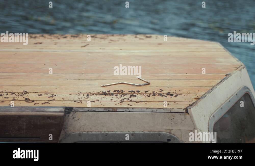 Static shot wooden boat cabin roof scraper and old mastic debris Stock ...