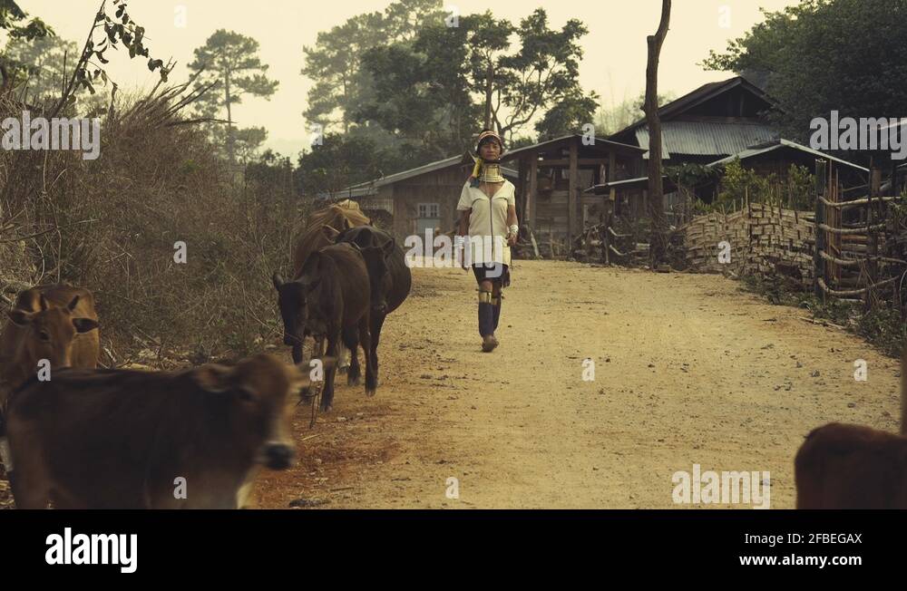 Traditional myanmar tribes Stock Videos & Footage - HD and 4K Video ...