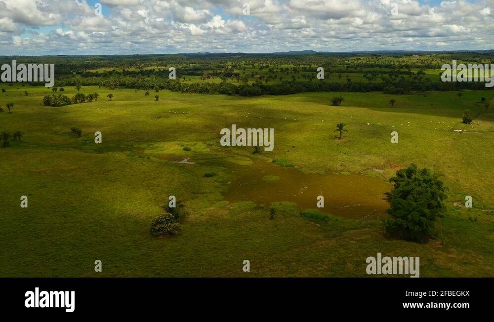 Brazil countryside Stock Videos & Footage - HD and 4K Video Clips - Alamy