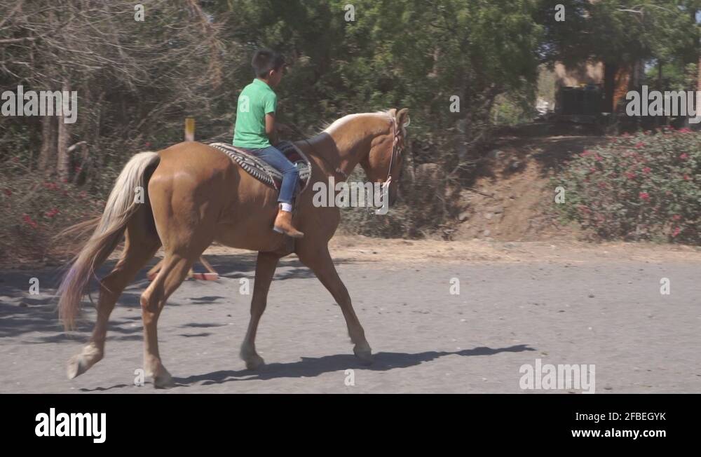 children taking horse riding lessons galloping in slow motion Stock ...