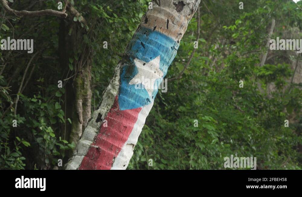 Pride of puerto rico Stock Videos & Footage - HD and 4K Video Clips - Alamy